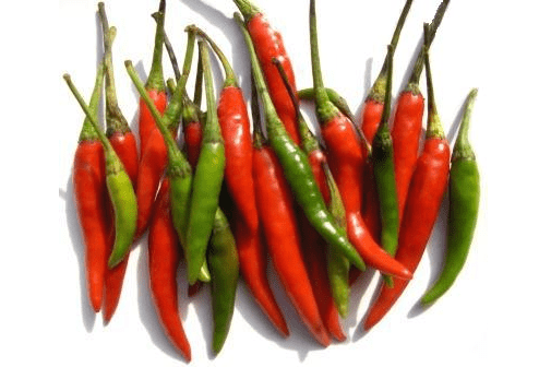 Chili - V Ganesh Agro Foods